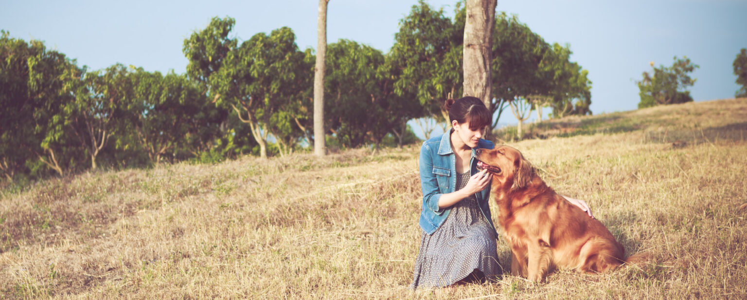 Home Dog Training | customized to your dog